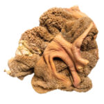 Matumbo – Kenya Meat Commision Distribution